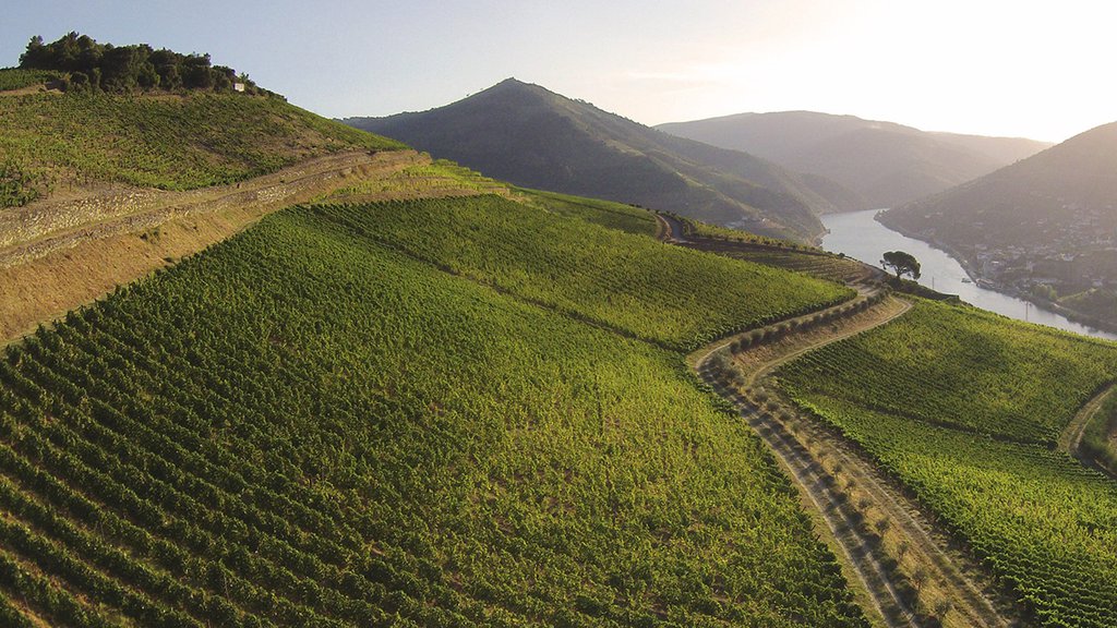Wines of Portugal | A world of difference - winesofportugal.com