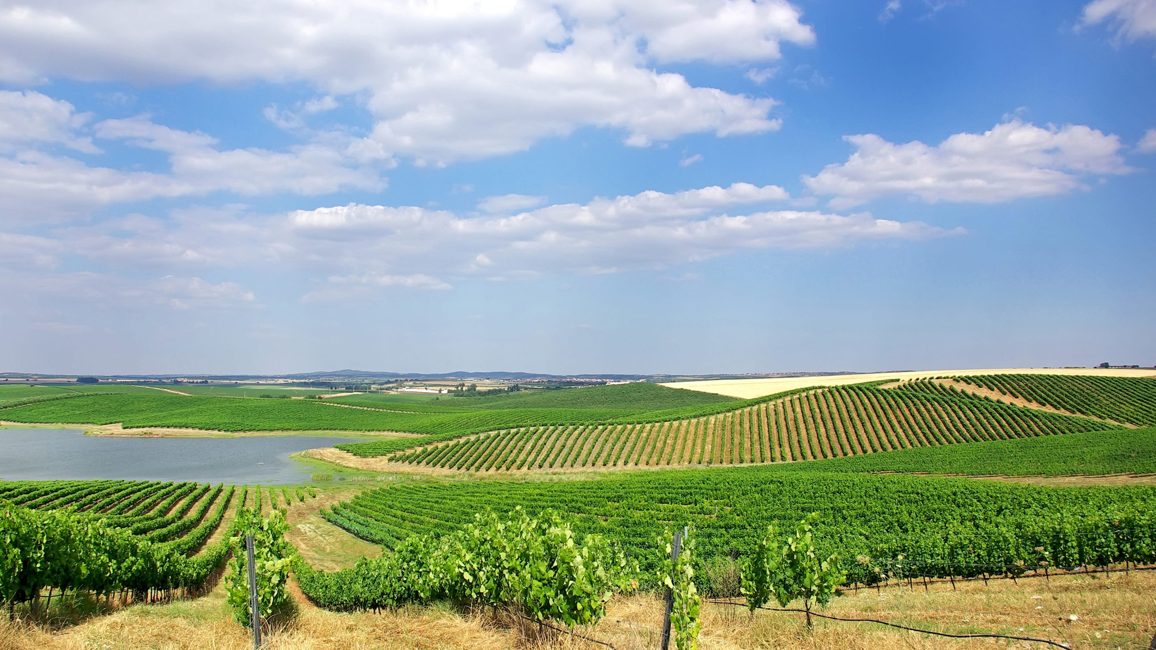 Wines of Portugal | A world of difference - winesofportugal.com